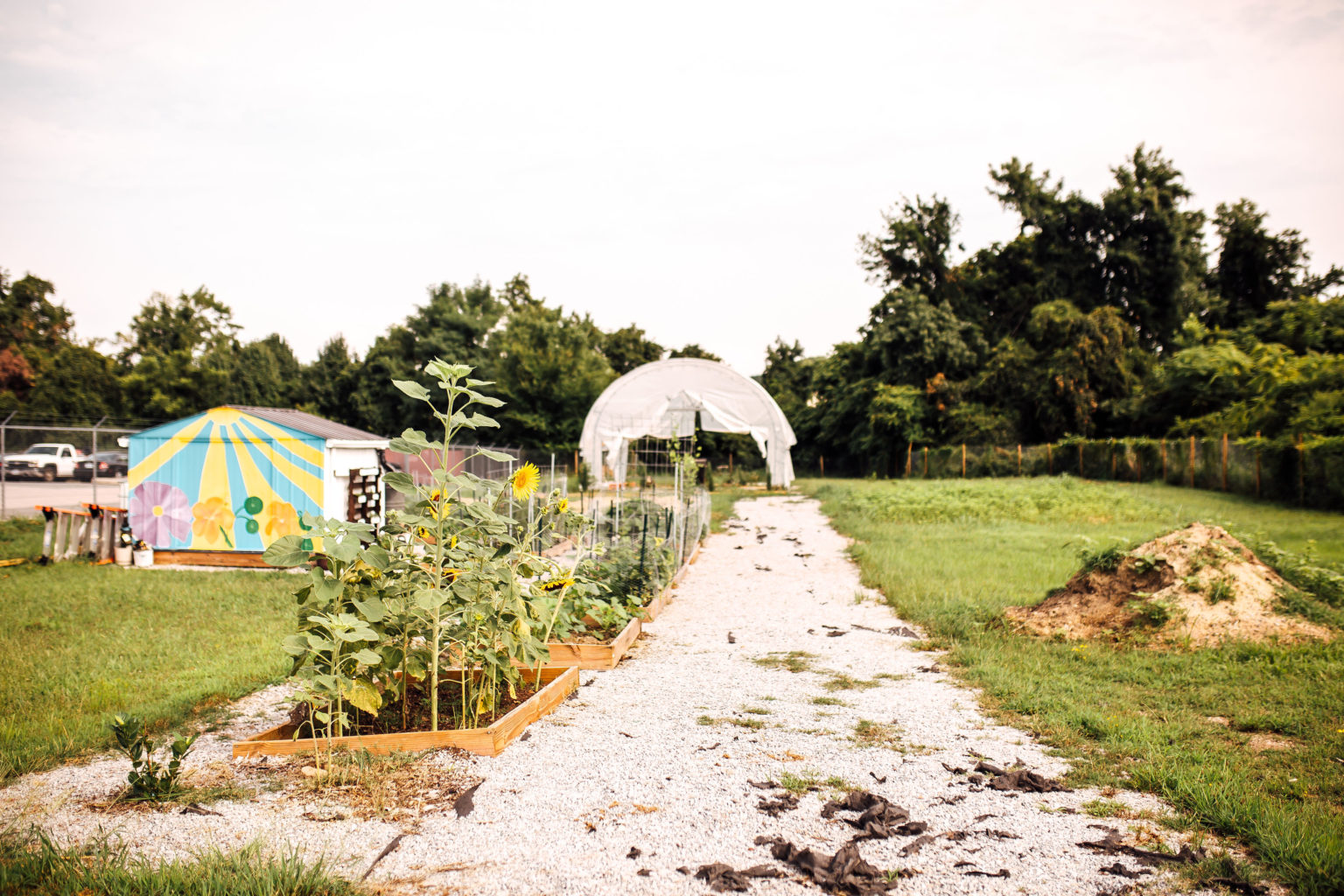 Cultivating Community Through Farming - Dan River Nonprofit Network